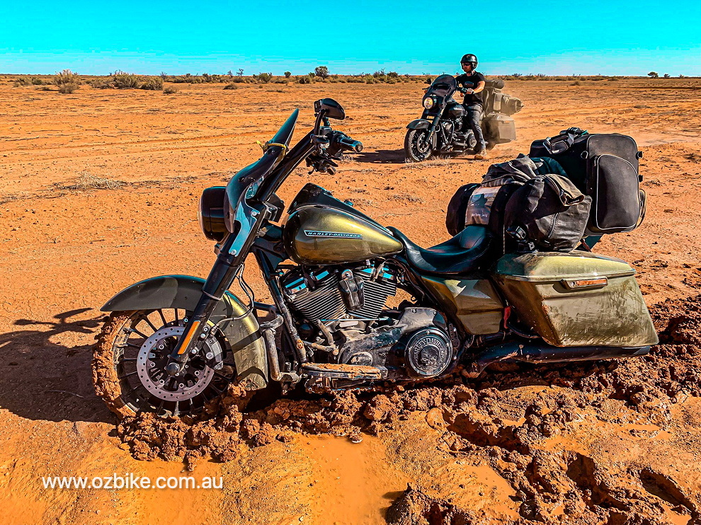 The Million Dollar Bogan