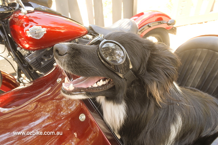 Sidecar Suspension by Design