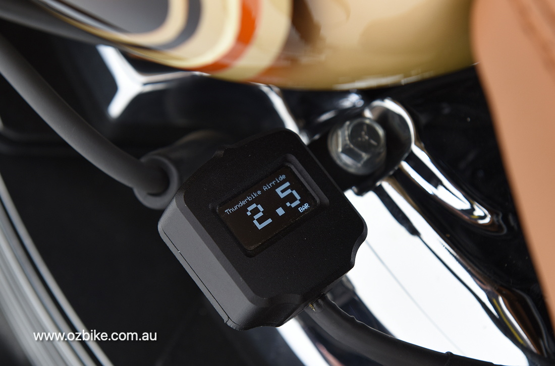 Vicla-Style Harley-Davidson