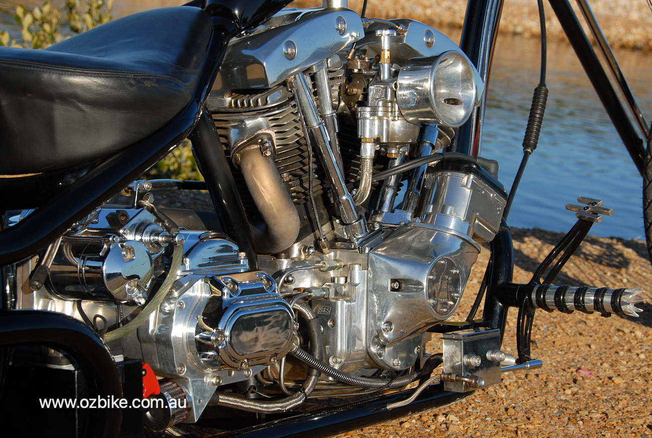 Vivid Black Harley-Davidson Hog