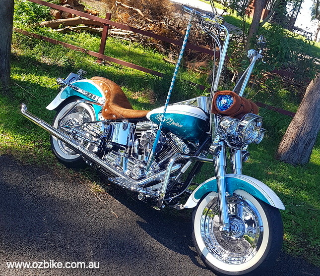 The Ultimate Vicla-Style Harley-Davidson