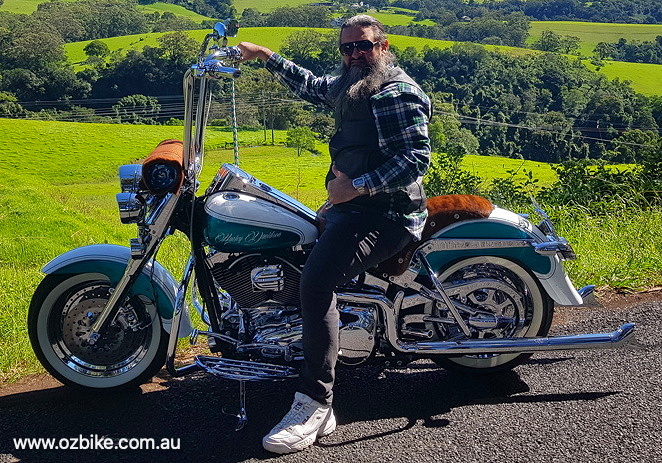The Ultimate Vicla-Style Harley-Davidson
