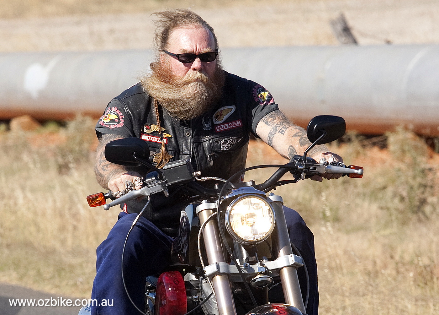 Boris HAMC Hells End Sportster